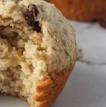 THE BEST GERMAN MUFFINS – 1k Recipes!