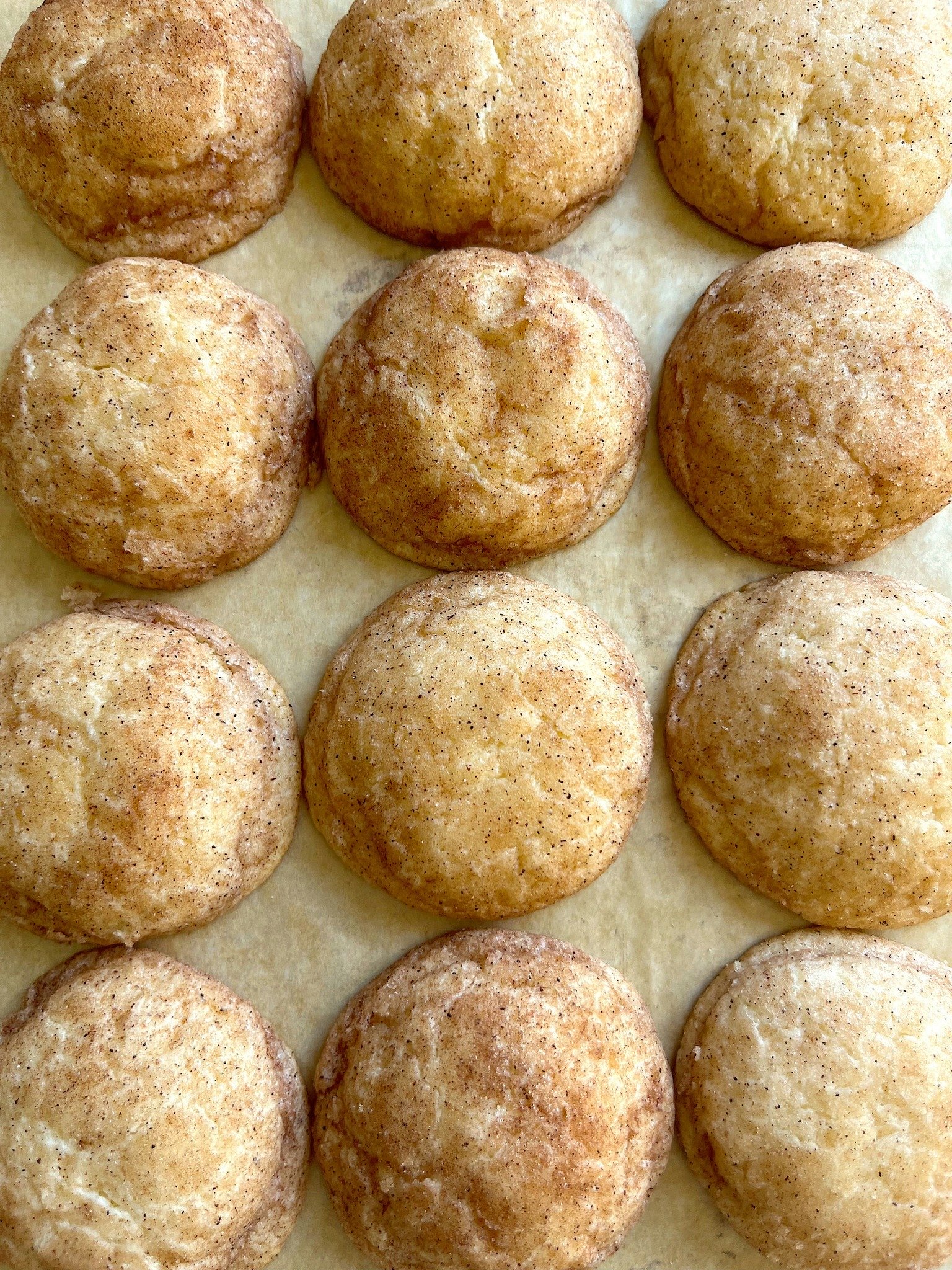 Cinnamon Cream Cheese Cookies: A Delightful Treat for Every Occasion ...